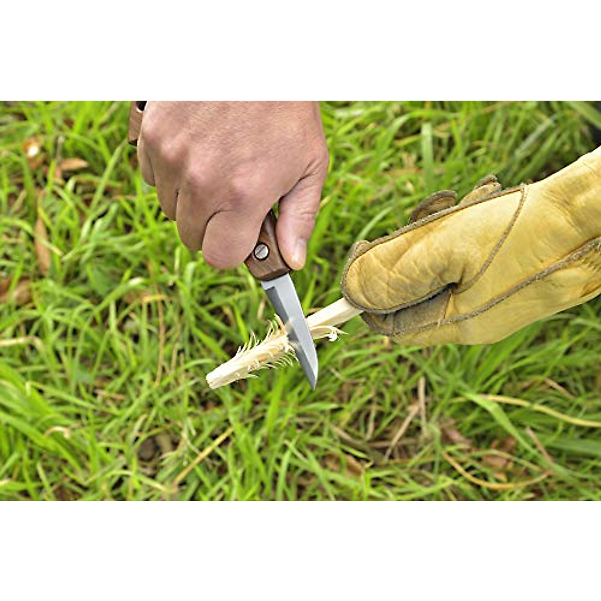 KAKURI Japanese Wood Carving Knife Folding 2.3" (Double Bevel), Made in JAPAN, Japanese White Steel No.2 Blade, Pocket Knife for Woodworking, Woodcarving, Outdoor, Camp, Bushcraft, Brown