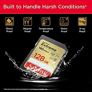 SanDisk 128GB Extreme SDXC UHS-I Memory Card - C10, U3, V30, 4K, UHD, SD Card - SDSDXVA-128G-GNCIN