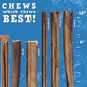 Jack&Pup 6-inch Odor Free Bully Sticks Dog Treats | Single Ingredient All Natural Dog Treat Chews | Long Lasting Bully Sticks for Medium Dogs (25 Pack)