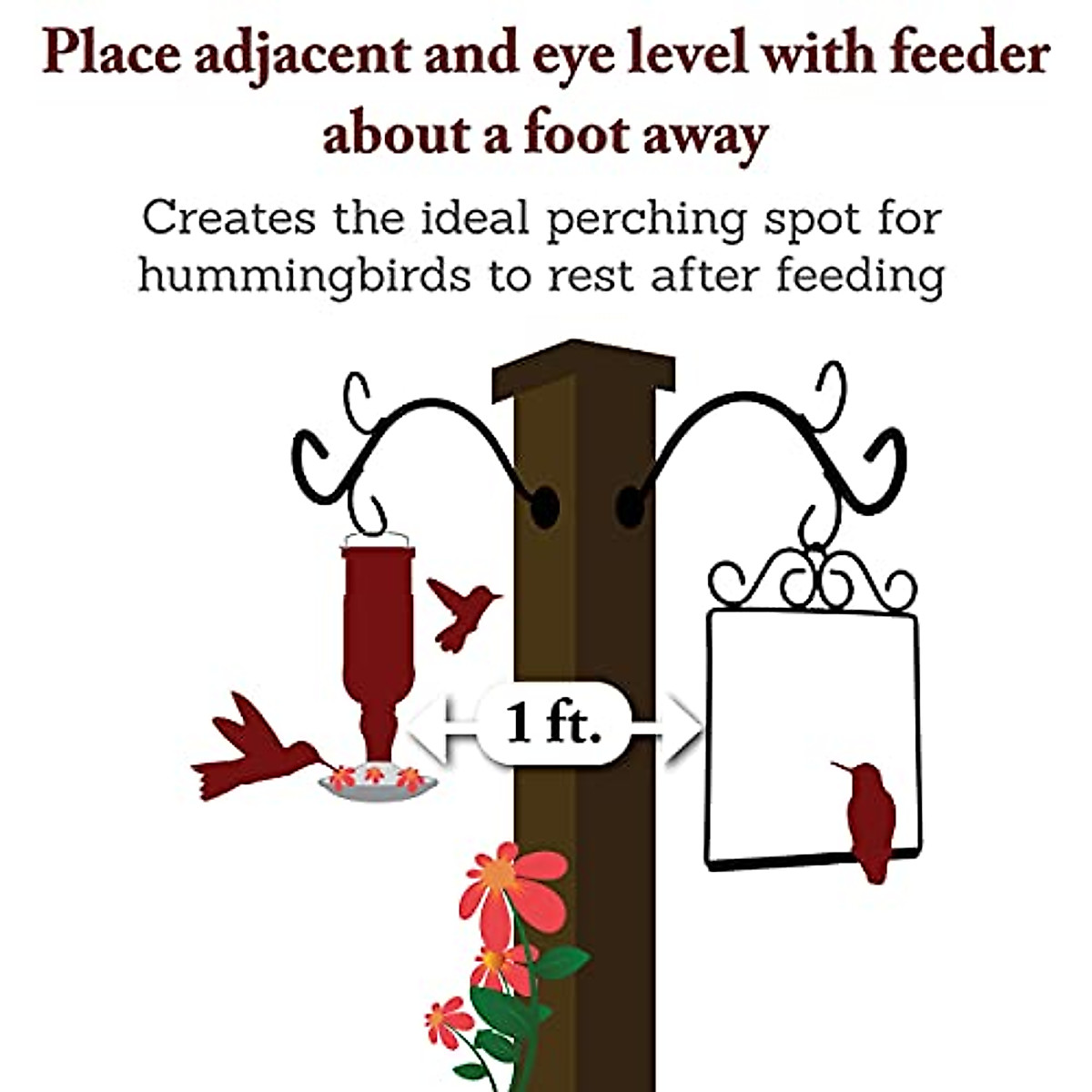 POP'S Birding, The Original Charm Hummingbird Swing for Outdoors - Perfect Bird Perch for Small Birds - Sturdy Steel Metal Swing Set with Hook Included