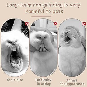 BNOSDM 2 PCS Rabbit Chew Toys for Bunnies Cage Hanging Guinea Pig Chewing Toys Rattan Ring with Snacks Natural Small Animals Teeth Grinding Toy for Hamster Chinchilla Ferret Hedgehog