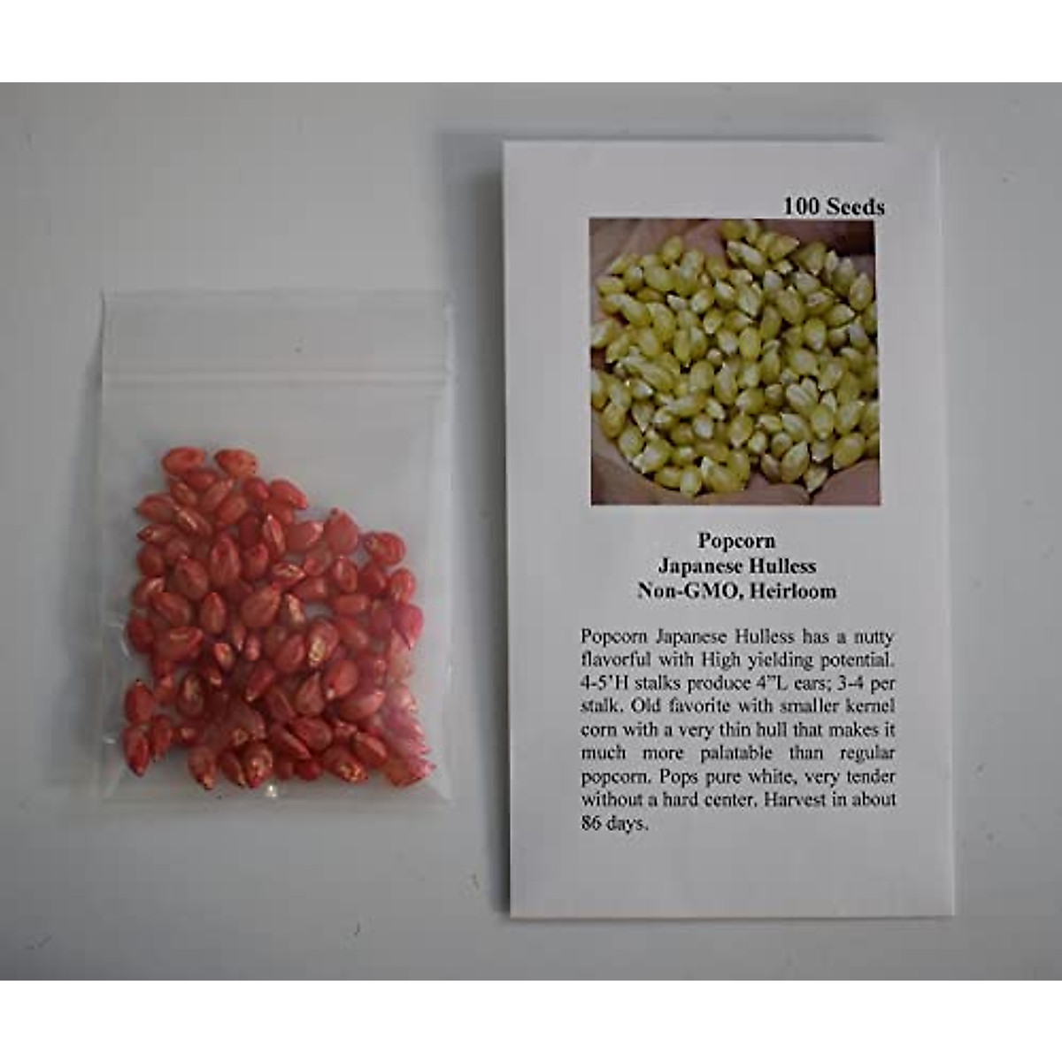 David's Garden Seeds Popcorn Japanese Hulless 3893 (White) 100 Non-GMO, Heirloom Seeds