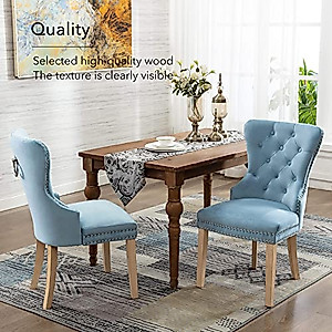 adochr Velvet Fabric Accent Dining Chairs Set of 6, Room for Used Solid Wood with Button and Nailed Trim (Blue)