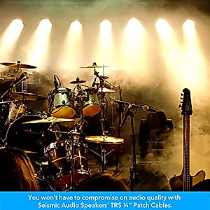 Seismic Audio Speakers TRS ¼” Patch Cable, 25 Foot Balanced Cord, Black