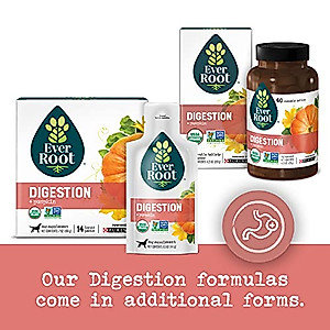 EverRoot Organic Dog Supplement by Purina, Digestion Chewable Tablet with Pumpkin for Dogs - 4.23 oz. Canister