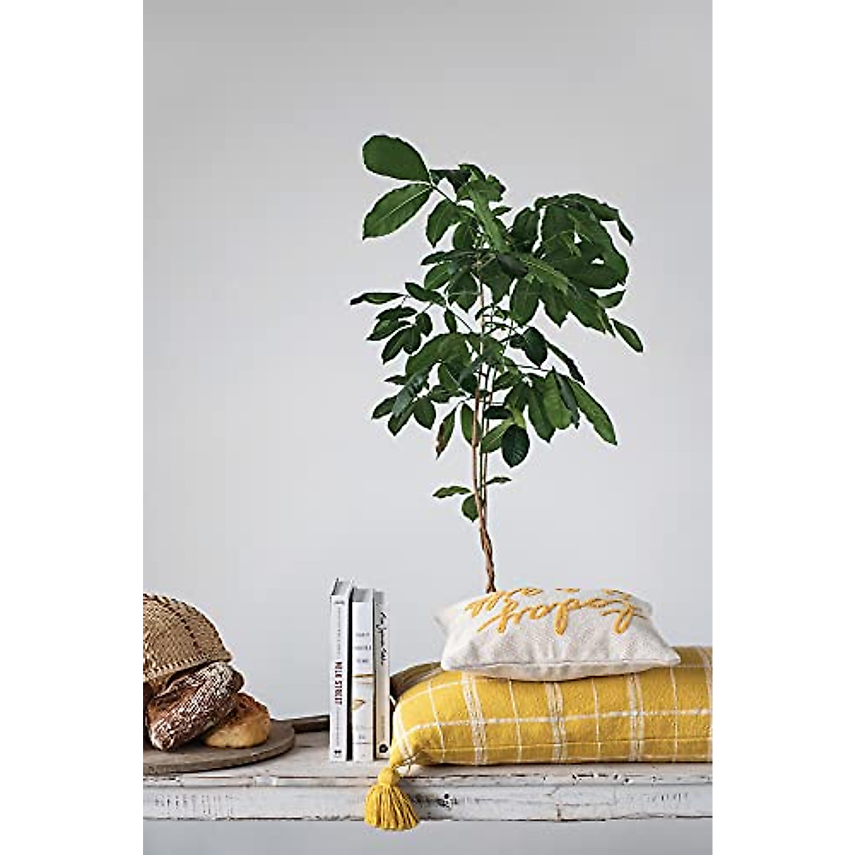 Creative Co-Op Embroidered Cotton Lumbar Today is A Gift in Script Pillow, Cream & Mustard