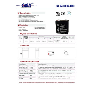 Casil Honeywell Genuine CA631 6V 3.1Ah SLA Battery for 7845GSM-K14139 (1)
