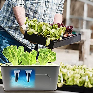 50 Sets Hydroponic Grow Basket, Plant Pod Kit Plant Growing Container with Transparent Insulation Domes, Replacement Grow Baskets, Hydroponic Garden Accessories(Size:4.4x1.3x6.5cm)