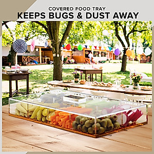 Snack Serving Tray Gift Box - Empty Divided Appetizer Serving Tray Set with Lid, Sectional Nuts & Dry Fruit Tray, Candy Dish, Veggie Serving Platter, Acrylic Clear & Gold, 8 Compartments, by Elavain