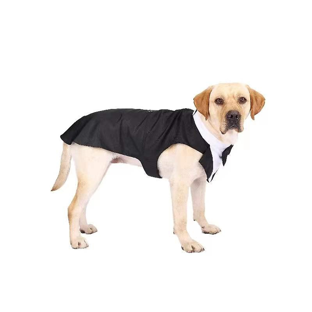 Dog Formal Tuxedo Suit, Dogs Tuxedo Costume Pet Wedding Party Outfit Suit, Dog Apparel Collar Bowtie Shirt for Large Medium Dogs Prince Golden Retriever Samo Bulldogs Tuxedo Outfit (Small)