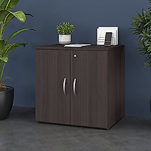 Bush Business Furniture Studio C Office Storage Cabinet with Doors, Storm Gray