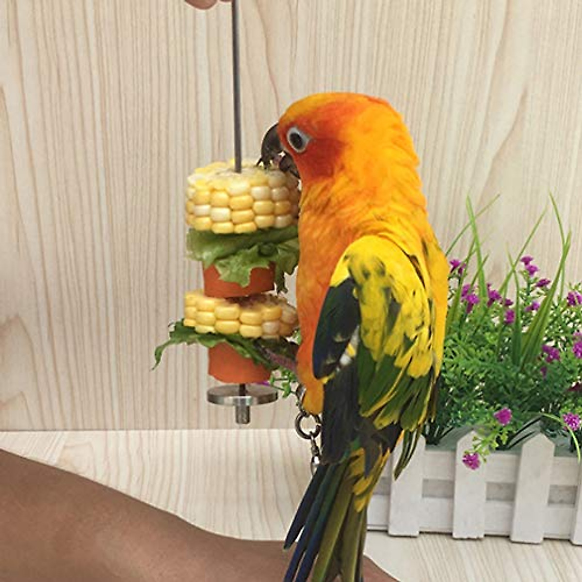 Bird Food Holder,Bird Feeders,Pure Stainless Steel Parrot Fruit Vegetable Stick Holder,Bird Treat Skewer.Holder Vegetable Skewer Food Feed Treating Tool for Parrots(2 Sizes) (Small — 4.7 in (12 cm))