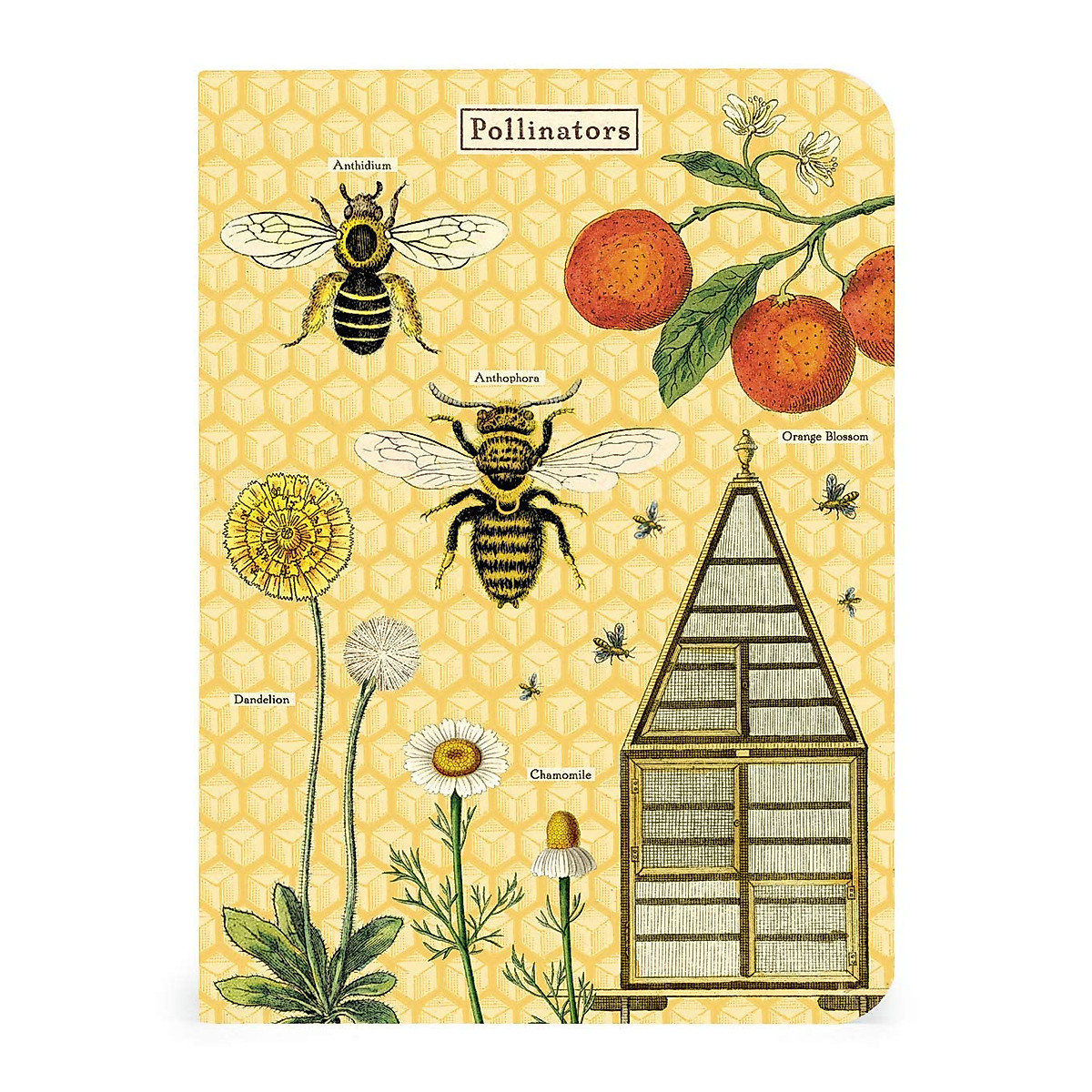Bees & Honey Mini Notebooks