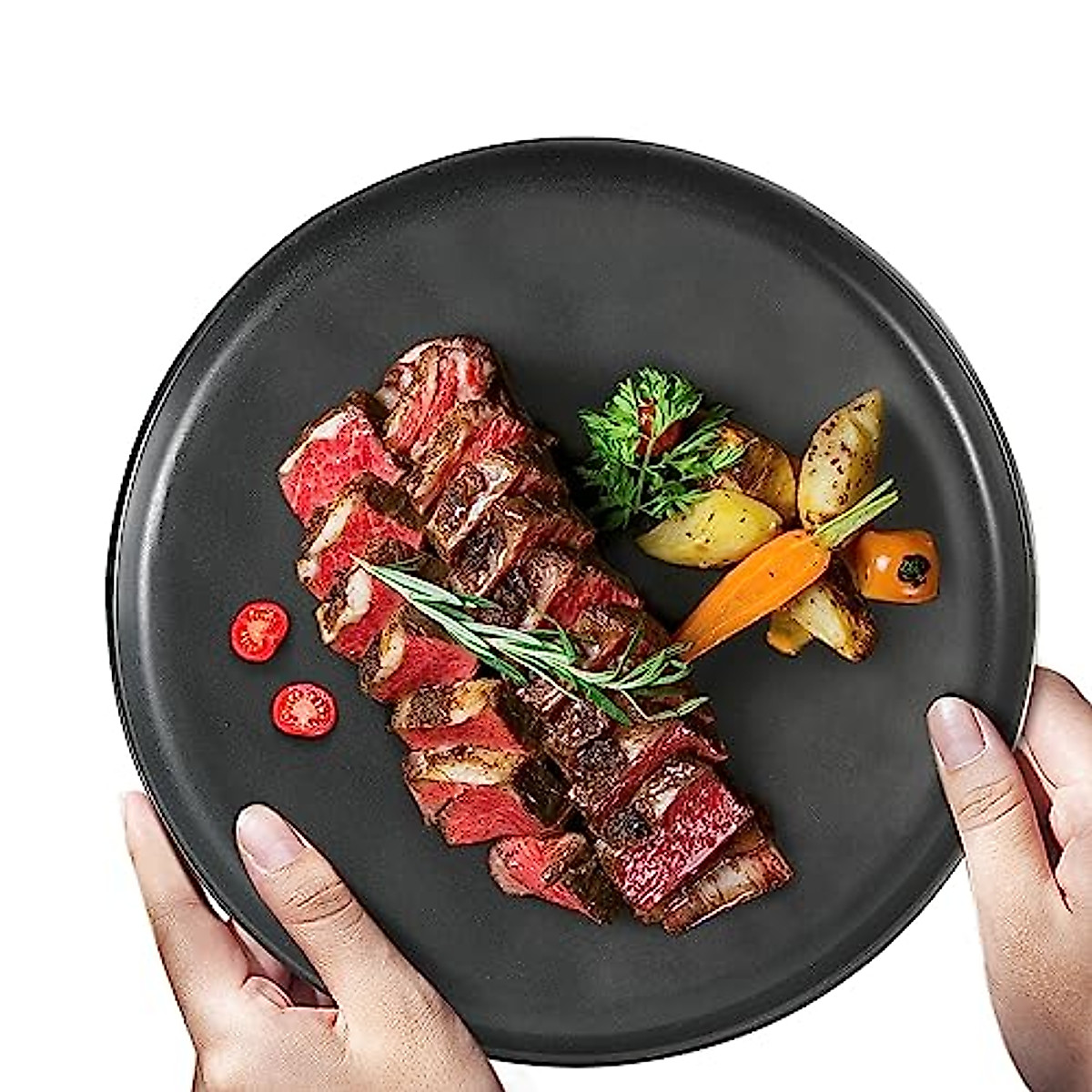 Vidalenta Porcelain Dinner Plates Set of 4, 10 Inch Salad Plate Set, Ceramic Pasta Plate Set Serving Dishes Small Plates Modern Dinnerware Set, Microwave Oven and Dishwasher Safe, Matte Black