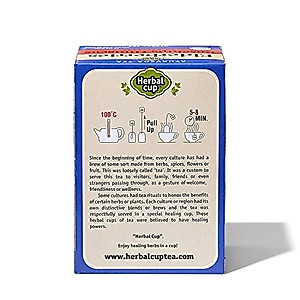Herbal Cup Ayurveda Elderberries Tea, Organic Rosehips Hibiscus, No Caffeine Herbal Supplement (16 Count, Pack of 1)