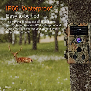 2-Pack 48MP 1296P Trail Cameras Night Vision No Glow H.264 Video Motion Activated 0.1S Trigger Time Waterproof for Outdoor Wildlife Hunting and Home Security Surveillance