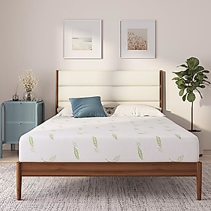 NapQueen Twin XL Size Mattress, 12 Inch Anula Green Tea Infused Memory Foam Mattress, Twin XL Size Mattress Bed in a Box, CertiPUR-US Certified Mattress