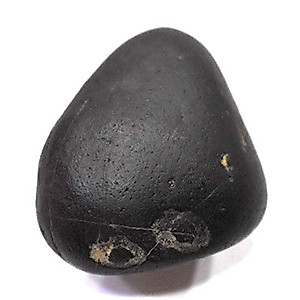 Rudrakshguru Matsya Shaligram - Gandaki River Nepal