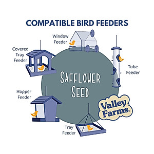 Valley Farms Safflower Seed Wild Bird Food for Outside Feeders, Safflower Bird Seed for Cardinals, Grosebeaks, and Buntings, Cardinal Bird Seed for Ourtside Feeders (15 LBS)