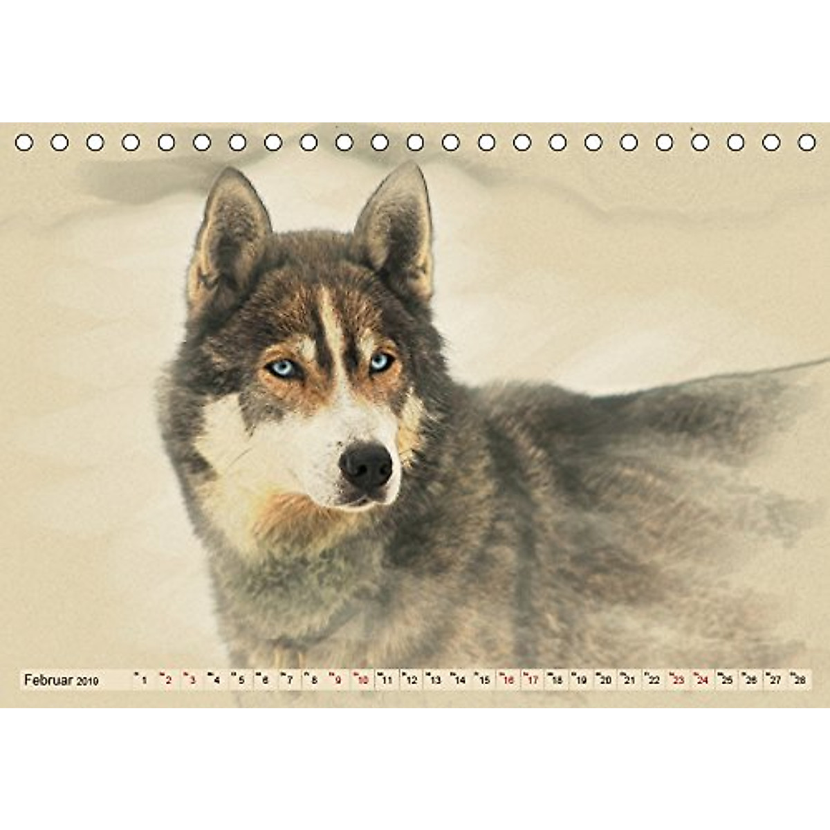 Schlittenhunde 2019 (Tischkalender 2019 DIN A5 quer): Der Kalender ist im kunstvollen Aquarell-Stil gehalten, so dass jedes einzelne Bild einem kleinen Kunstwerk gleicht. (Monatskalender, 14 Seiten )