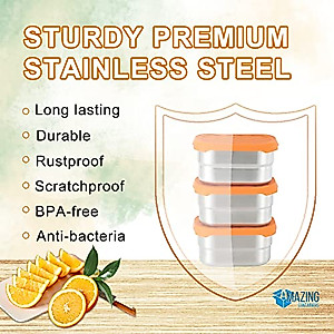 Amazing Containers| Set of 3 Stainless Steel Containers with Silicon Lids | condiments containers |On the go fruits and Snack Containers for Toddlers and Kids | Leakproof BPA Free | 8 oz (1 cup) each