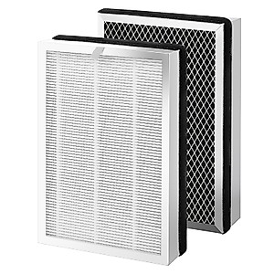 isinlive 25 Replacement Filter Compatible with 25 Air Purifier S1/W1/B1, 3-in-1 H13 True HEPA Activated Carbon Filter, 2 Pack