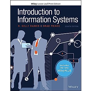 Introduction to Information Systems