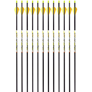 Carbon Express D-Stroyer SD Hunting Arrow Shafts, 12-Pack, Small Diameter .203”ID, High Modulus Carbon Weave, Dual Spine Weight Forward Technology, Laser Checked, Length 31.5” - 300, 350 or 400 Spines