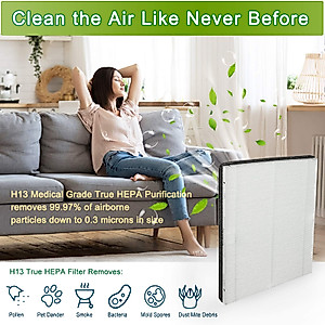 Flintar MD1-0022 True HEPA Replacement Filter, Compatible with Vornado Air Cleaner Purifier Model AC300, AC350, AC500, AC550, PCO200, PCO300, PCO375DC, PCO500 and PCO575DC (1-Pack)