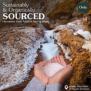 Spring Salt - Organic - Microplastic Free Sea Salt - Coarse - 7oz Pouch