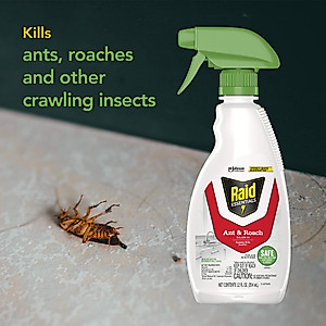 Raid Essentials Ant & Roach Killer Spray Bottle, Child & Pet Safe, Kills Insects Quickly, for Indoor Use, 12 Fl Oz (Pack of 3)