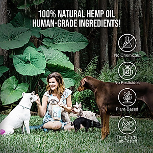 Hemp Dog Health - Soothe - Hemp Salve for Natural Dog Allergy Relief & Everyday Bug Bite & Hot Treatement for Dogs - Made with Natural Extracts & Human-Grade Hemp Oil for Dogs