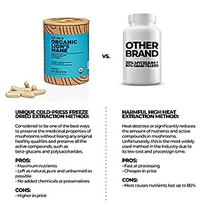 Wellnest.Store Lions Mane Mushroom Organic Supplement (Hericium Extract) 60 Veggie Caps - Immune Support Supplement; Improve Cognitive Function + Promote Vitality, Protect Nerve Cells