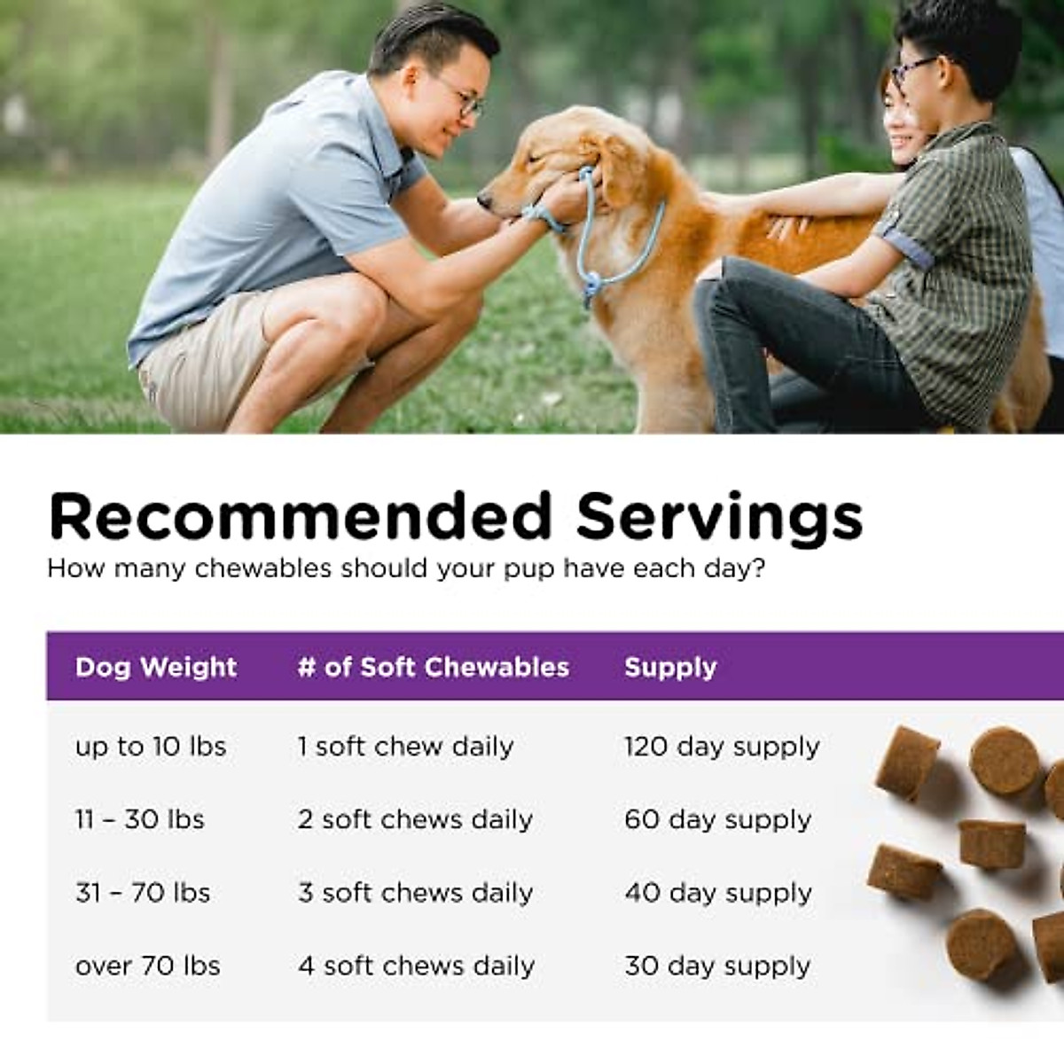 Nutri-Vet Pre and Probiotic Soft Chews for Dogs - Digestive Health Support Dog Probiotics - Tasty Liver and Cheese Alternative to Dog Probiotic Powder - 120 Soft Chews