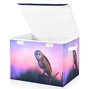 Kigai Storage Basket Cute Owl Storage Boxes with Lids and Handle, Large Storage Cube Bin Collapsible for Shelves Closet Bedroom Living Room, 16.5x12.6x11.8 In