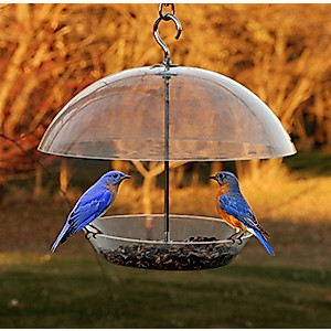 Woodlink NABBFDR Audubon Dome Top Seed and Bluebird Feeder