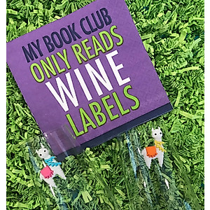 Simply Charmed Wine Glass Charms for Stemless Glasses - Magnetic Llama and Cactus Drink or Beverage Markers Set of 6