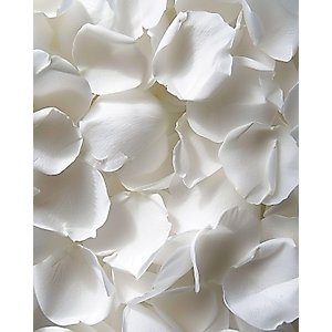 REAL Rose Petals, Pearl White Freeze-Dried Petals 3.5oz Biodegradabel Wedding Natural Confetti, Perfectly Preserved Flower Petals for Table Decorations