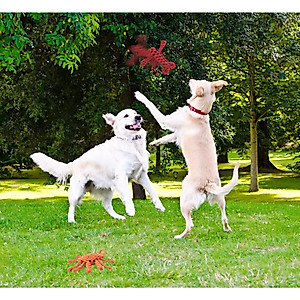 WishLotus 2Pc Dinosaur and Duck Shaped Dog Toys for Aggressive Chewers, Cotton Dog Chew Toys for Small to Large Breeds (Crab+Lobster)