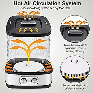 Seeutek Food Dehydrator Machine for Beef Jerky, Fruits, Vegetables Electric Dryer Machine with 5 BPA-free Trays, Adjustable Temperature Control, Recipe Book & 4PCS Reusable Storage Bags