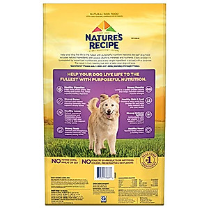 Nature’s Recipe Original Dry Dog Food for Adult Dogs, Lamb & Rice Recipe, 24 lb Bag