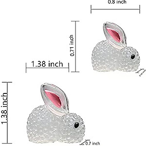 HYG 30 Pieces of Mini Resin Luminous Rabbit Mini Portrait Mini Fairy Garden Landscape Aquarium Decoration Potted Plant Decoration DIY Christmas Birthday Party Slime Amulet. (Luminous Rabbit)