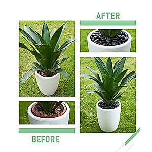 GASPRO 8lb Black River Rocks for Plants, Vases, 1 to 2 Inch Decorative Pebbles for Pots Indoor, High Polished