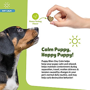 Snuggle Puppy Day Calm Puppy Bites - Calming Chew Bites for Dogs - Dog Supplement to Help with Separation Stress & Relaxation - Puppy Chew Bites with Colostrum, Chamomile & Ashwagandha - 60 Soft Chews