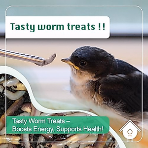 Best Bait 50 Canadian Nightcrawlers (4-6 inch) - Premium Fishing Bait or Pet Feeder - High-Protein, Nutrient-Rich Live Worms for Fishing, Reptiles, Birds & Small Animals - Ideal for Anglers