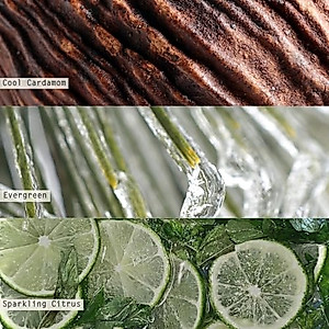 ILLUME Noble Holiday Winter White Small Crackle Glass Candle