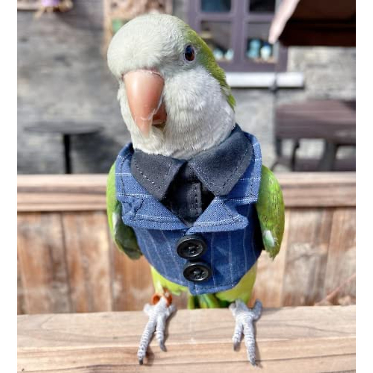 Bird Costume Bird Diaper Flight Suit Bird Jeans Top Bird Clothes Cosplay Photo Prop for Parrots Lovebird Parakeet Cockatiel Small Animals Apparel (Without Diaper,Cockatiel)