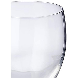 Luigi Bormioli Michelangelo Gold White Wine Stem 12.75oz, Set of 4, 4 Count (Pack of 1),