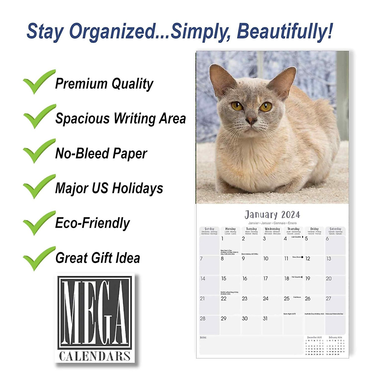 2023 2024 Burmese Cats Calendar - Cute Animal Monthly Wall Calendar - 12 x 24 Open - Thick No-Bleed Paper - Giftable - Academic Teacher's Planner Calendar Organizing & Planning