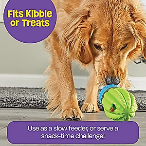 Brightkins Cactus Surprise Treat Dispenser - Treat Dog Toys, Treat Dispenser for Dogs, Dog Birthday Toy for All Breeds Medium